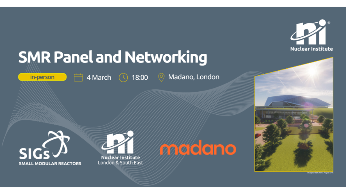 Nuclear Institute SMR SIG and LSE Branch: SMR Panel and Networking